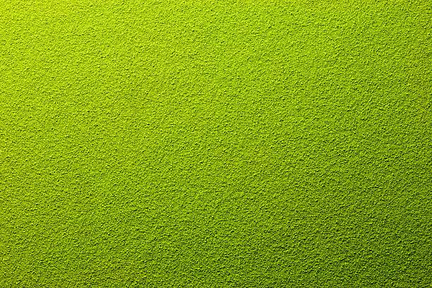 Matcha Powder Pictures | Download Free Images on Unsplash