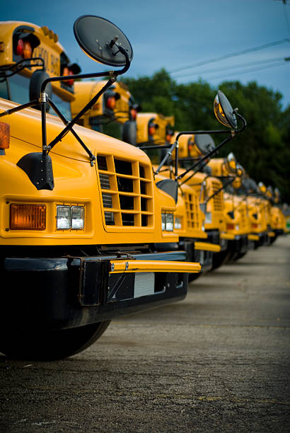 Yellow Bus Pictures | Download Free Images on Unsplash