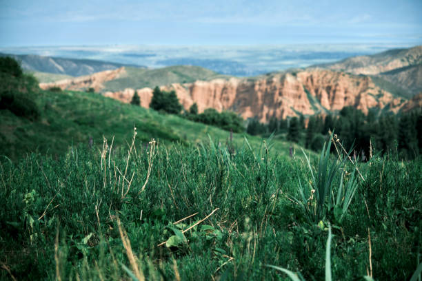 Free picture: Panoramic view of Boynton canyon valley from high land