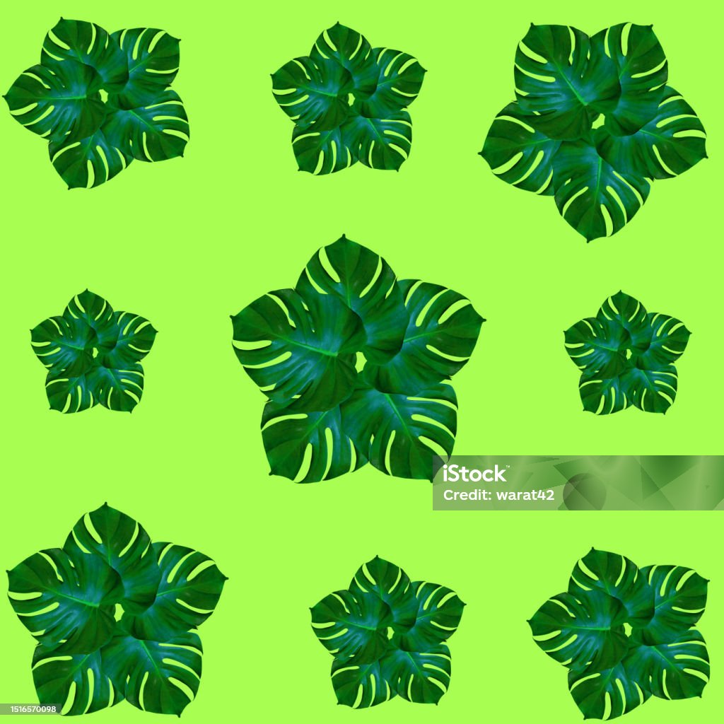 Green Palm Leaves Pattern For Nature Concept Tropical Leaf On Green