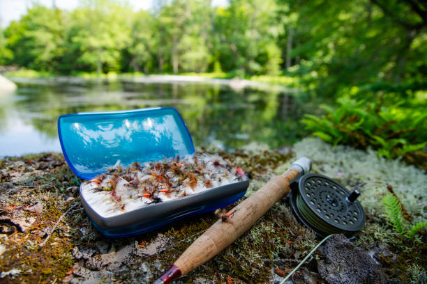 60,000+ Free Fly Fishing & Fishing Images - Pixabay