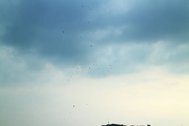 Free updraft stock photos. Download the best free updraft images at ...