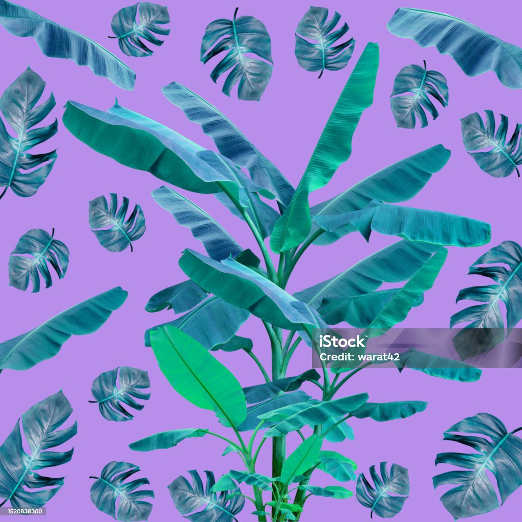 Colorful Palm Leaves Pattern For Nature Concepttropical Leaf On Purple