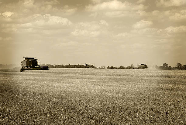 Free picture: Sepia graphic illustration of agricultural fields