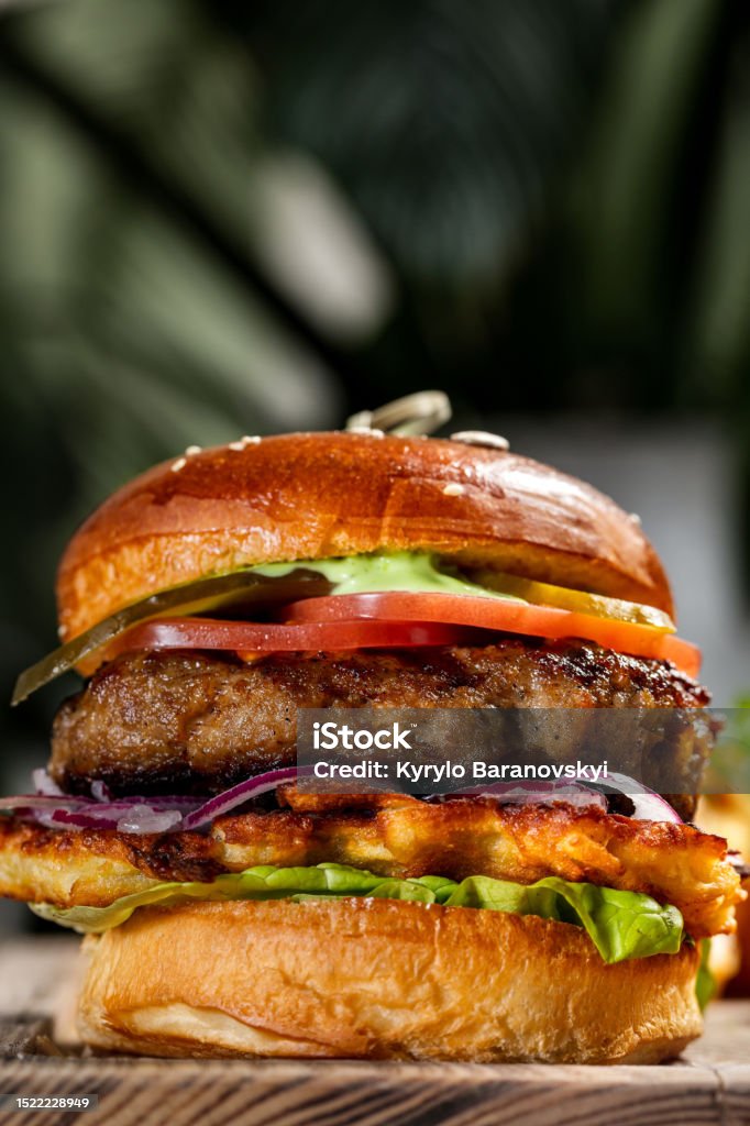 Burger Keju Dengan Patty Daging Sapi Dan Patty Ayam Selada Keju Kambing ... Burger Keju Dengan Patty Daging Sapi Dan Patty Ayam Selada Keju Kambing ...