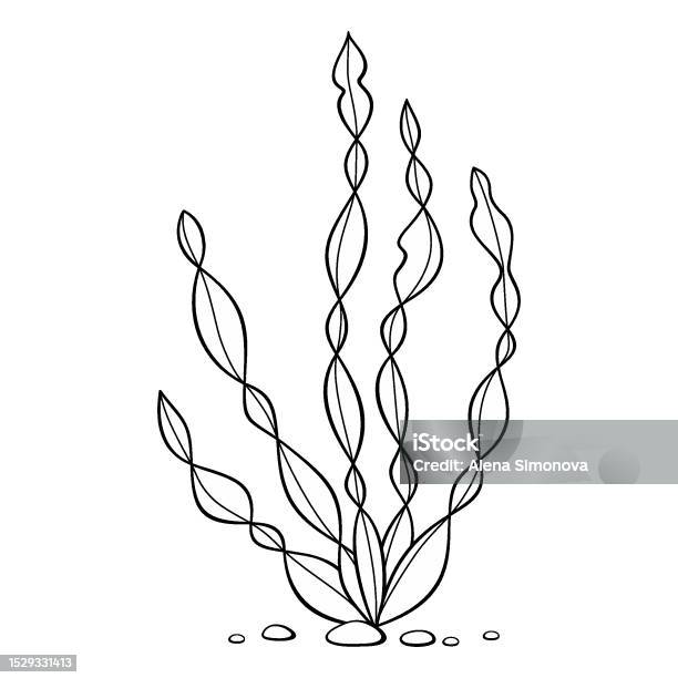 Contour Noir Et Blanc Dalgues Océaniques Isolées Vecteurs Libres De