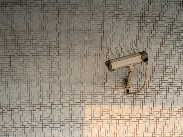 Free photo "German cameras"