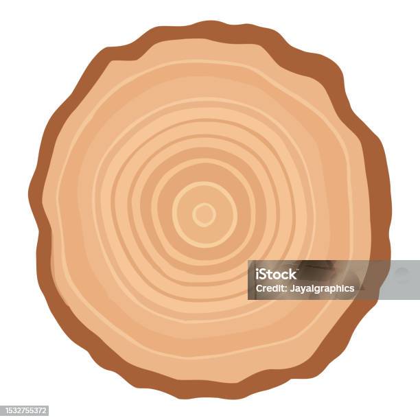 Anneau En Bois Tronc Darbre Coupe Transversale Du Tronc Darbre Tranche