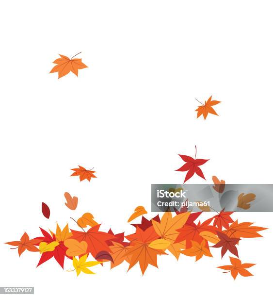 Feuilles Dautomne Chute Vecteurs Libres De Droits Et Plus Dimages
