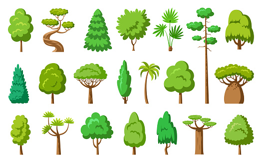Ensemble Darbres Plats Dessin Animé Forêt Verte Plante Vue Latérale