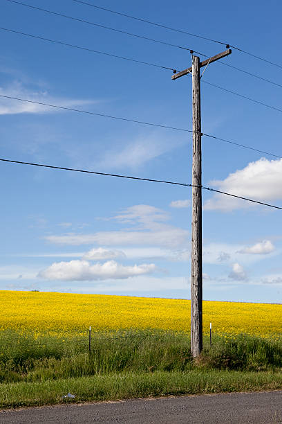 Free Stock Photo of Telephone Pole Standing in a Field | Download Free ...