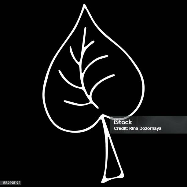 Vector Leaf Illustration Isolated On Black Background Stock