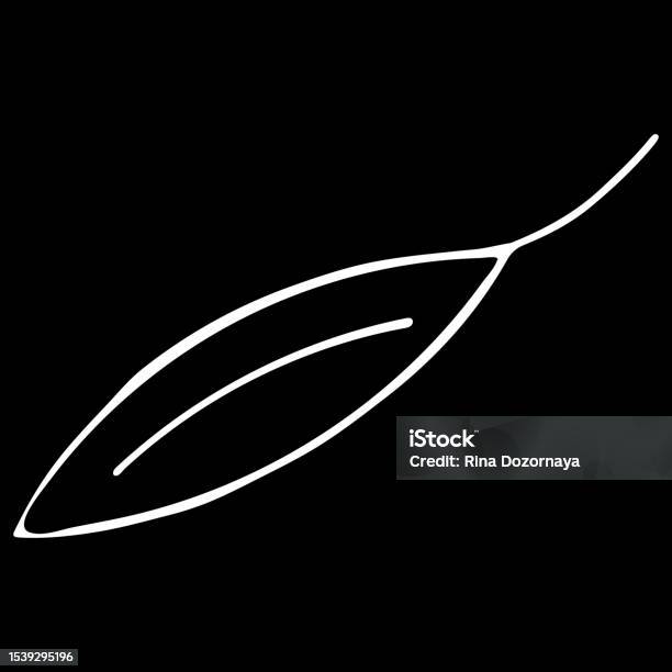 Vector Leaf Illustration Isolated On Black Background Stock