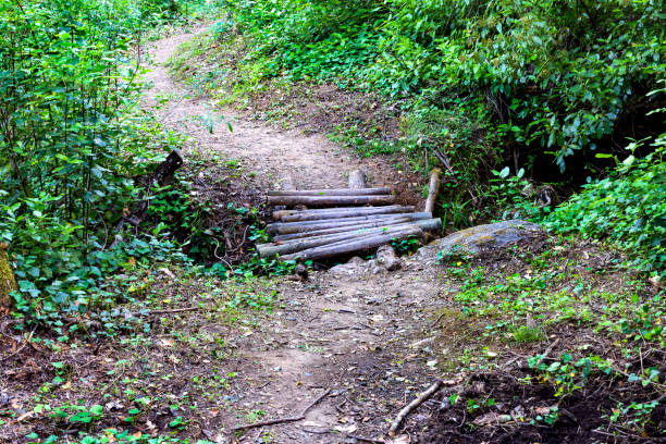 Free picture: Small wooden bridge in forest over dry riverbed