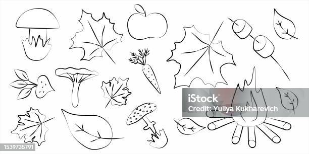 Ensemble Déléments Dautomne De Doodle De Contour Illustration