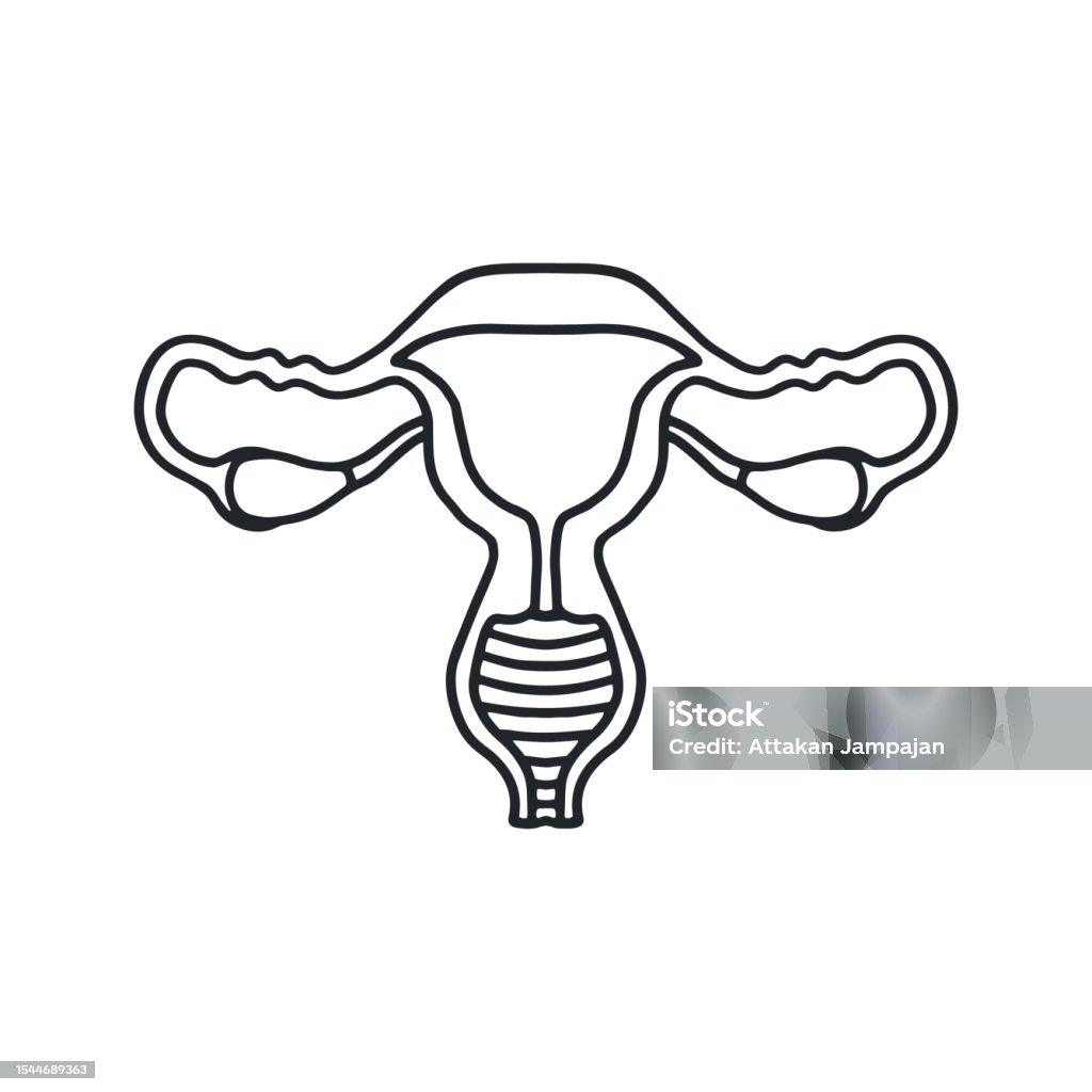 Ikon Yang Digambar Tangan Uterus Gaya Doodle Ilustrasi Stok Unduh