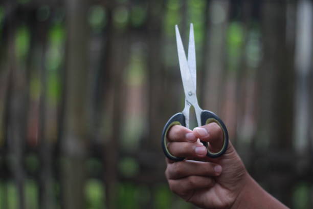 Free Stock Photo of Person Holding Rope With Pair of Scissors ...