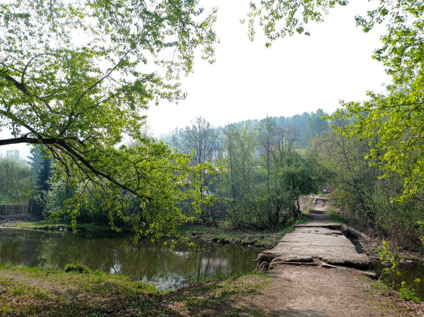 Free picture: old, bridge, lake