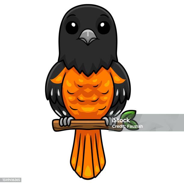 Mignon Dessin Animé Doiseau Oriole De Baltimore Sur Une Branche Darbre