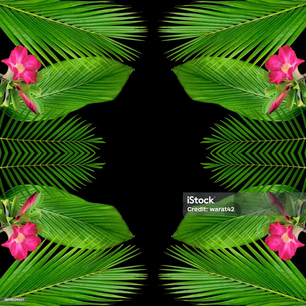 Green Palm Leaves Pattern For Nature Concepttropical Leaf Textured