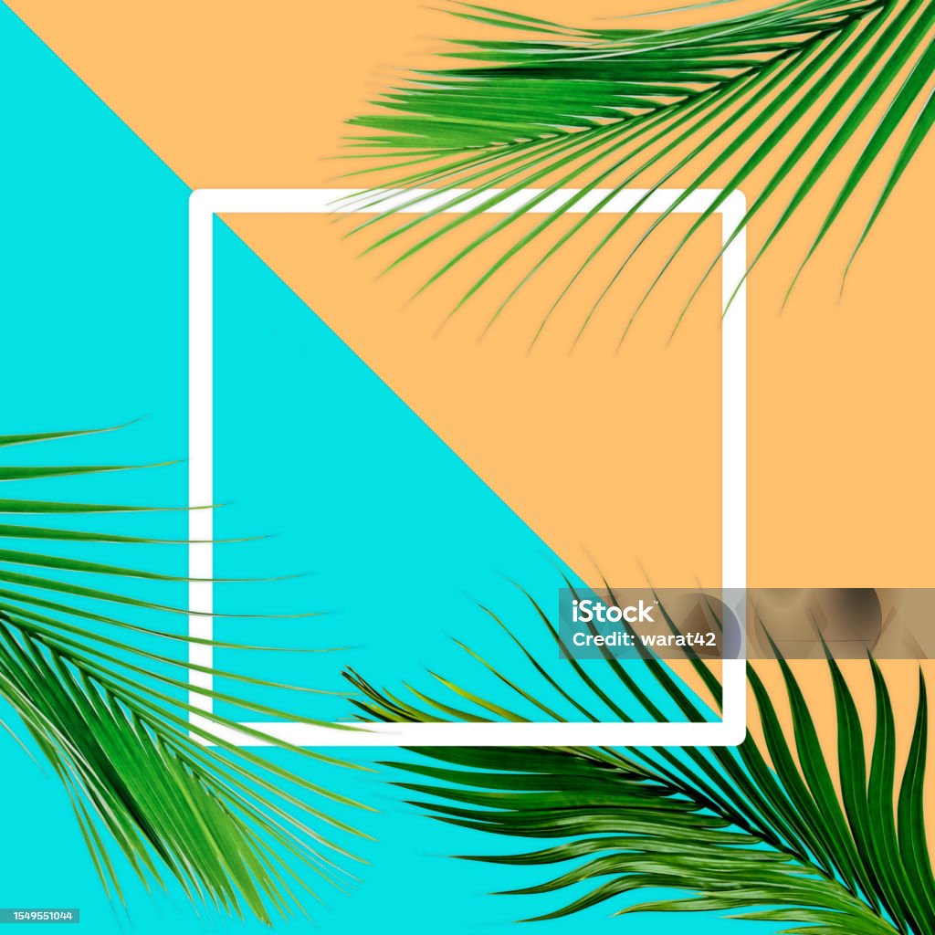Green Palm Leaves Pattern For Nature Concept Tropical Leaf On Orange