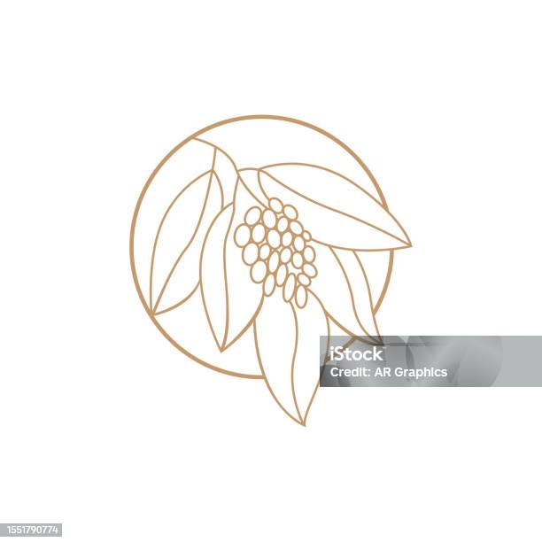 Logo De Café Design Darbre À Café Vecteur De Boisson De Café Symbole