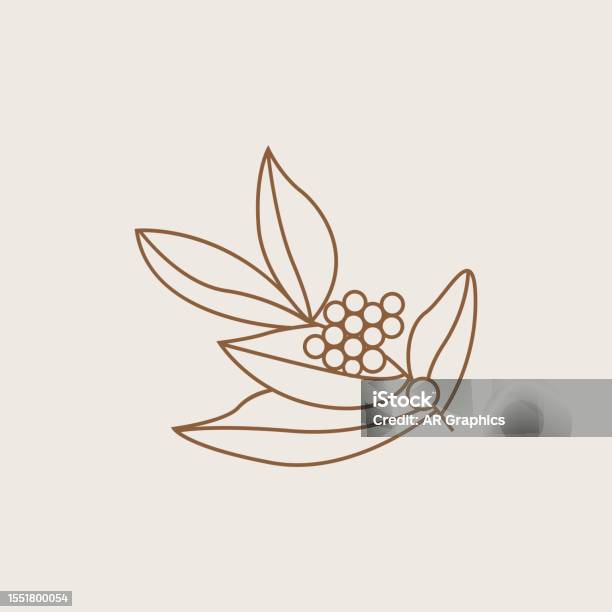 Logo De Café Design Darbre À Café Vecteur De Boisson De Café Symbole