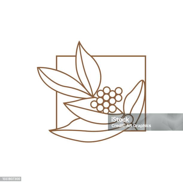 Logo De Café Design Darbre À Café Vecteur De Boisson De Café Symbole