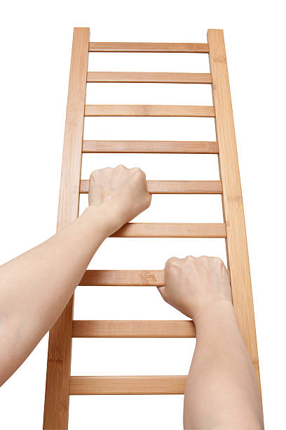 Ladder Climb Pictures | Download Free Images on Unsplash