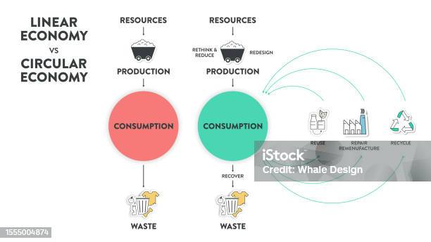 Le Schéma Vectoriel Infographique De La Différence Entre Léconomie