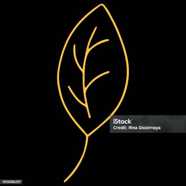 Colorful Vector Leaf Illustration On Black Background Stock