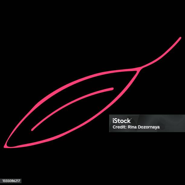 Colorful Vector Leaf Illustration On Black Background Stock