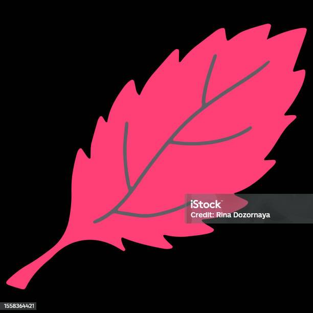 Colorful Vector Leaf Illustration On Black Background Stock