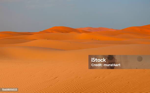 Bukit Pasir Oranye Di Gurun Maroko Gurun Sahara Maroko Foto Stok ... Bukit Pasir Oranye Di Gurun Maroko Gurun Sahara Maroko Foto Stok ...