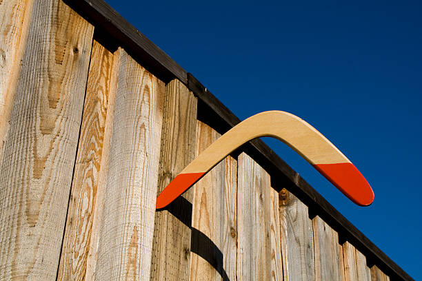 Boomerang Pictures | Download Free Images on Unsplash
