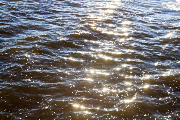 Free picture: sunlight, reflected, ocean, lights