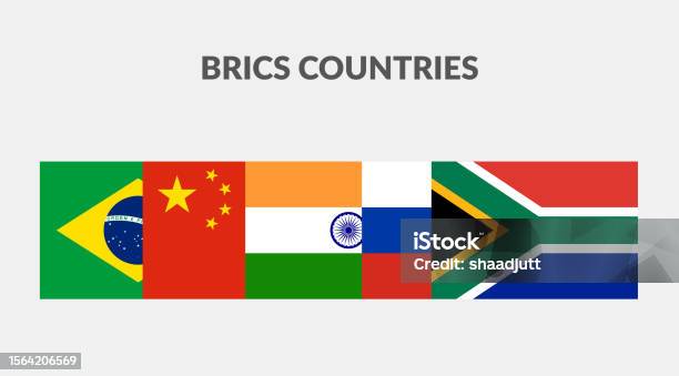 Brics Countries Rectangle Flag Icon Collection Stock Illustration Download Image Now Brics