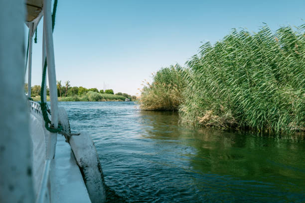 Free Stock Photo of Riverfront view from a blurred foreground ...