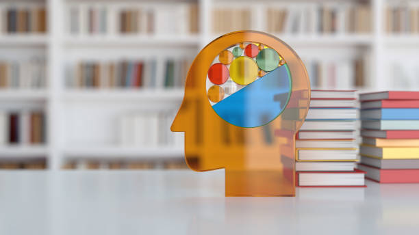 Free Stock Photo of Person studying and learning - Knowledge concept ...