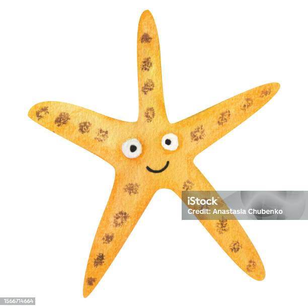 Étoile De Mer Jaune Illustration À Laquarelle Dans Le Style Dessin