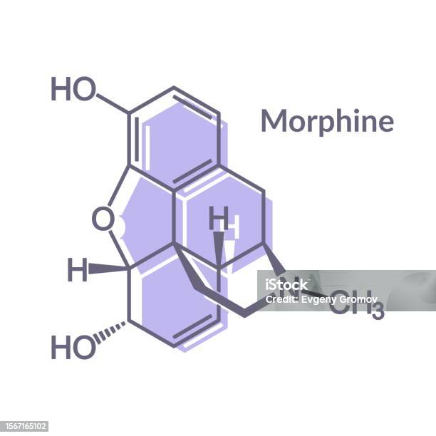 Morphine Chemical Formula Morphine Chemical Molecular Structure Stock ... Morphine Chemical Formula Morphine Chemical Molecular Structure Stock ...