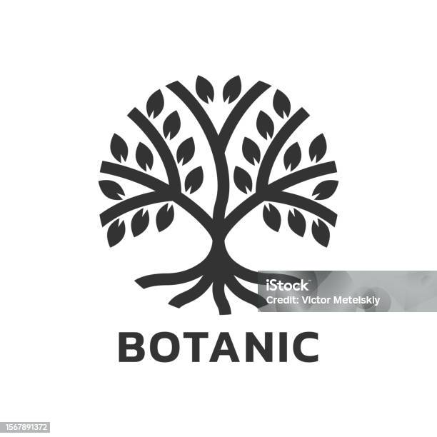 Logo Ou Icône De Larbre Symbole Écologique Et Organique Moderne Nature