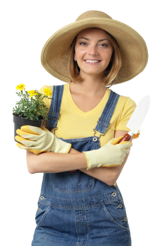 Gardener 가진 여자 새싹 아이리스입니다 Pots 흰색 바탕에 흰색 배경 여자에 대한 스톡 사진 및 기타 이미지 여자