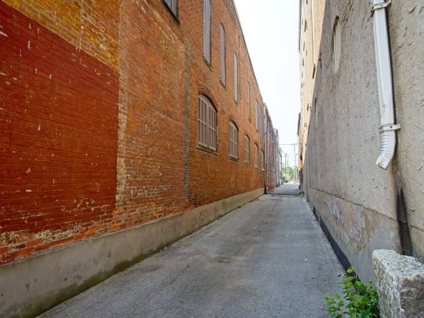 Free Stock Photo of Back alley behind bar - back entrance | Download ...