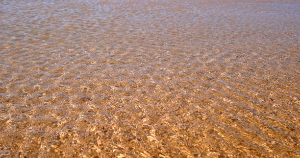 Free picture: Close-up of wet sandbar on beachfront with waves