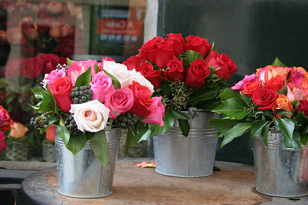 Flower Bucket Pictures | Download Free Images on Unsplash