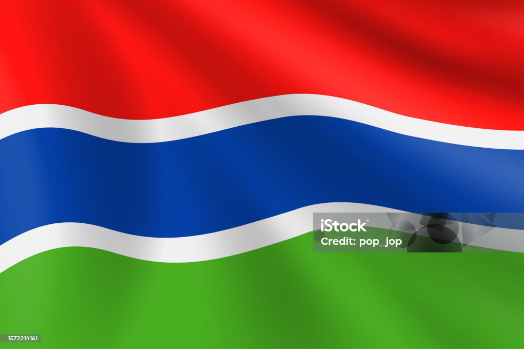 Flag Of Gambia Gambian Flag Vector Flag Background Stock Illustration