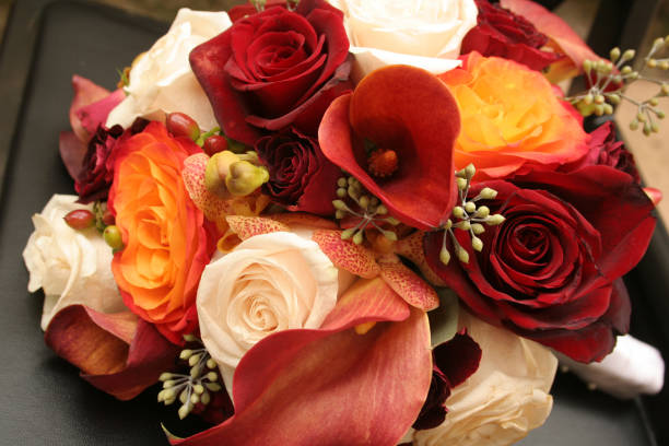 Fall Wedding Pictures Download Free Images On Unsplash