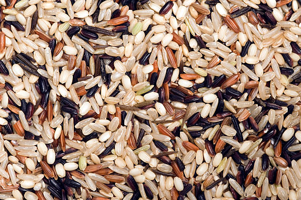 Wild Rice Pictures | Download Free Images on Unsplash