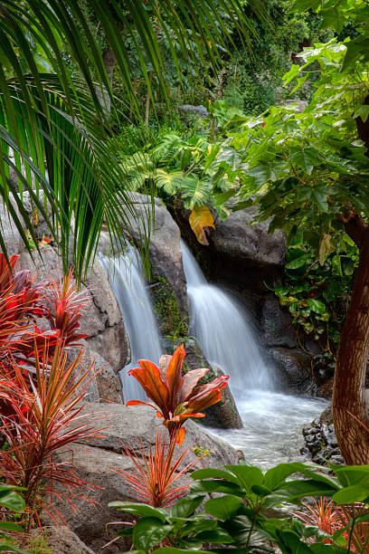 Hawaii Waterfall Pictures | Download Free Images on Unsplash